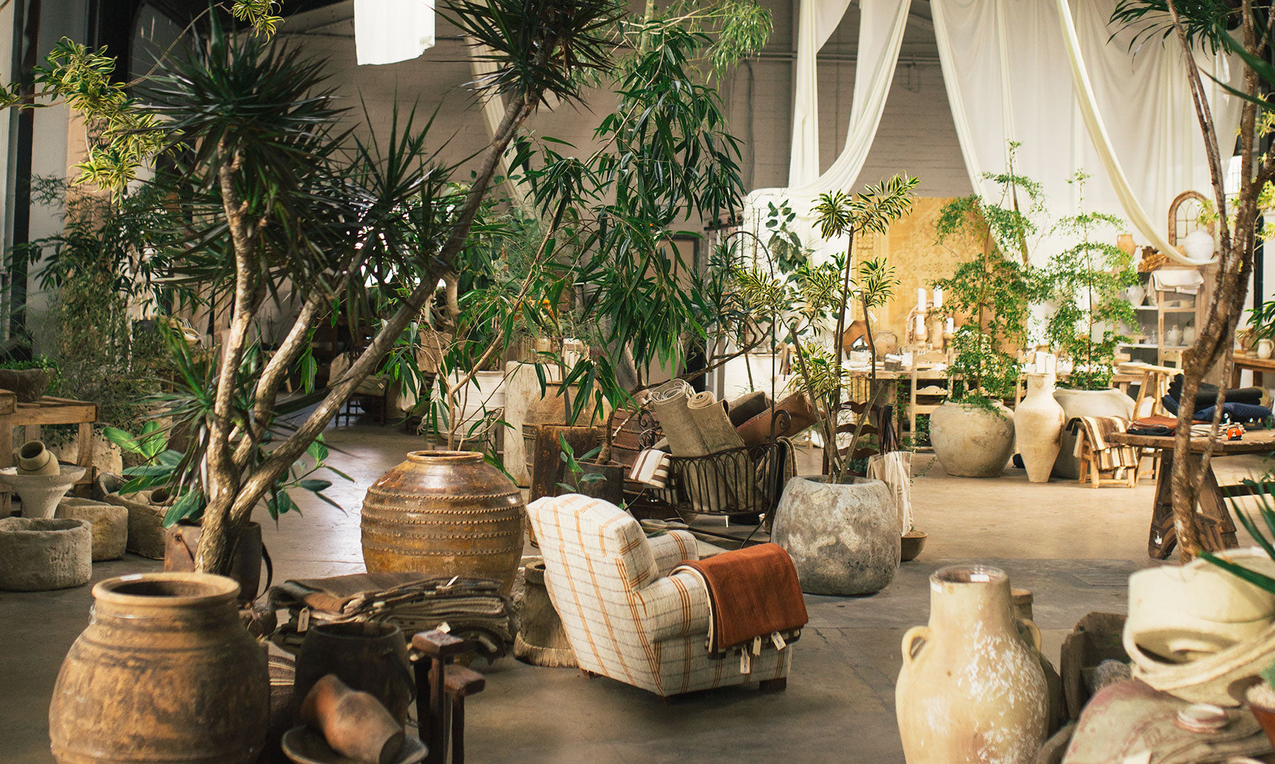 PRINTWOOD | San Diego Plant Design Studio