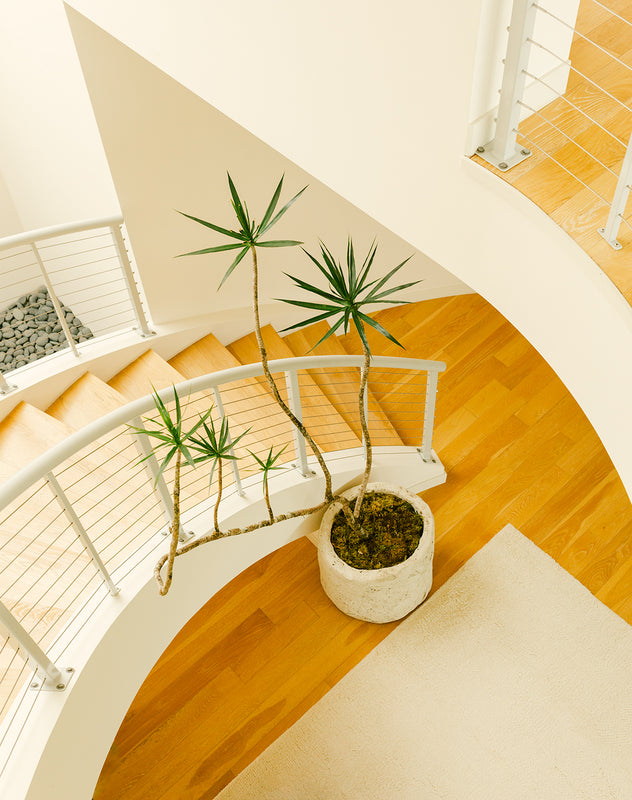 PRINTWOOD | San Diego Plant Design Studio