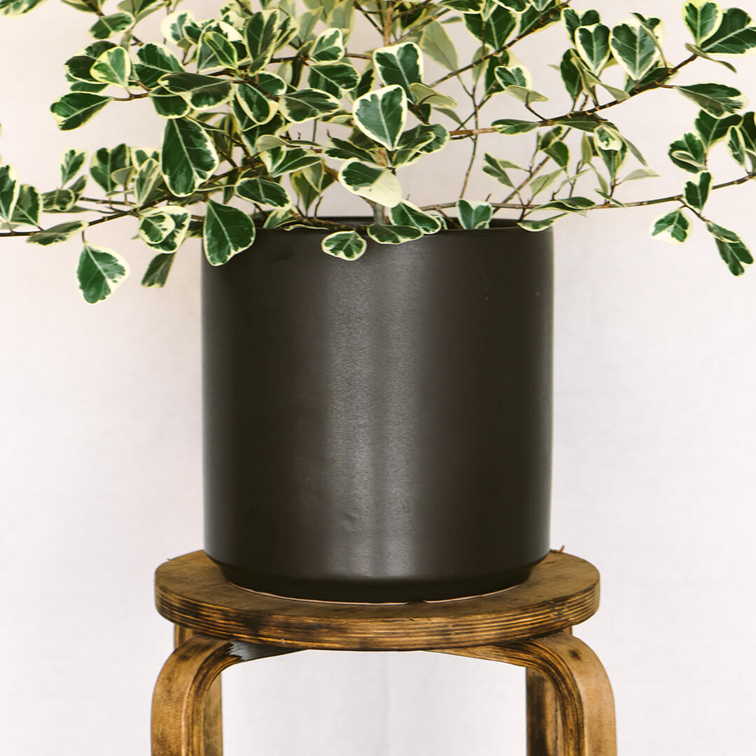 10 Inch Smooth Cylinder – PRINTWOOD